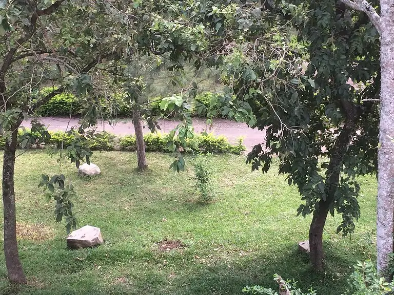 Environmental Protection - ST. FRANCIS OF ASSISI HIGH SCHOOL - RWENJAZA